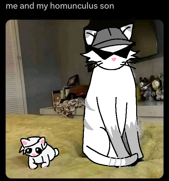MSPA Booru - 2025 animalstuck bed bro bro-daily broken source cats dave ...